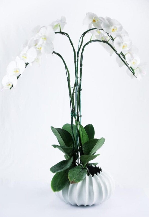 Textured Crenulated Porcelain Vases - 3 sizes – English Country Home